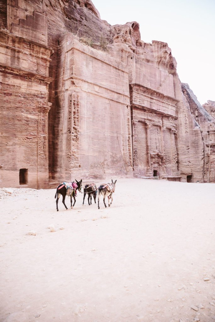 How to travel: 7 tips for a visit of Petra – THETRAVELBLOG.at