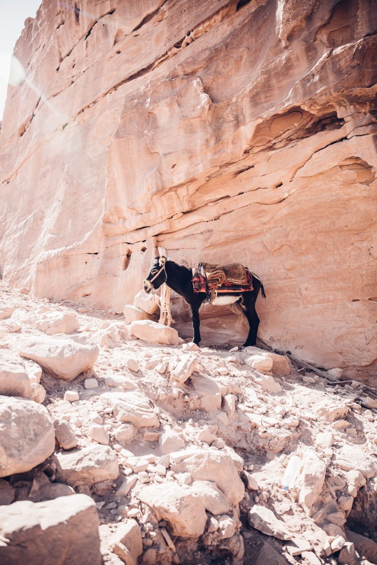 How to travel: 7 tips for a visit of Petra – THETRAVELBLOG.at – Curious ...