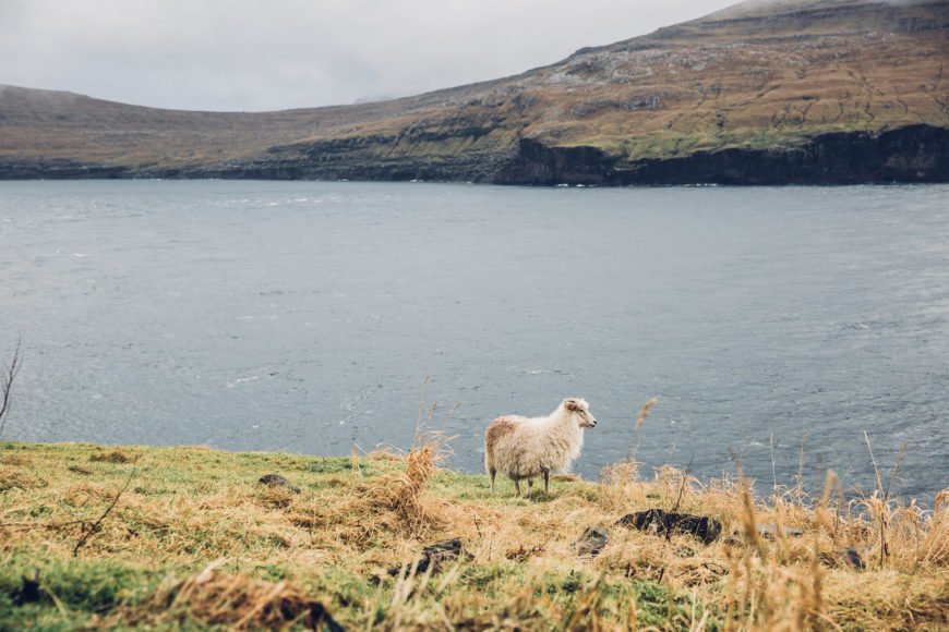 Unchartered waters: Exploring Fugloy on the Faroe Islands ...