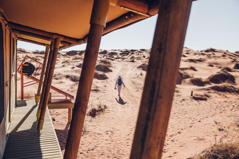 Wolwedans: A Luxury Eco-Tourism Lodge – THETRAVELBLOG.at