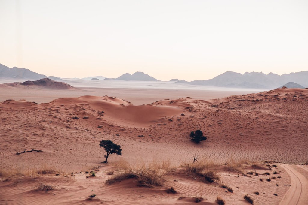 Namibia: The East of Etosha National Park – THETRAVELBLOG.at – Curious ...