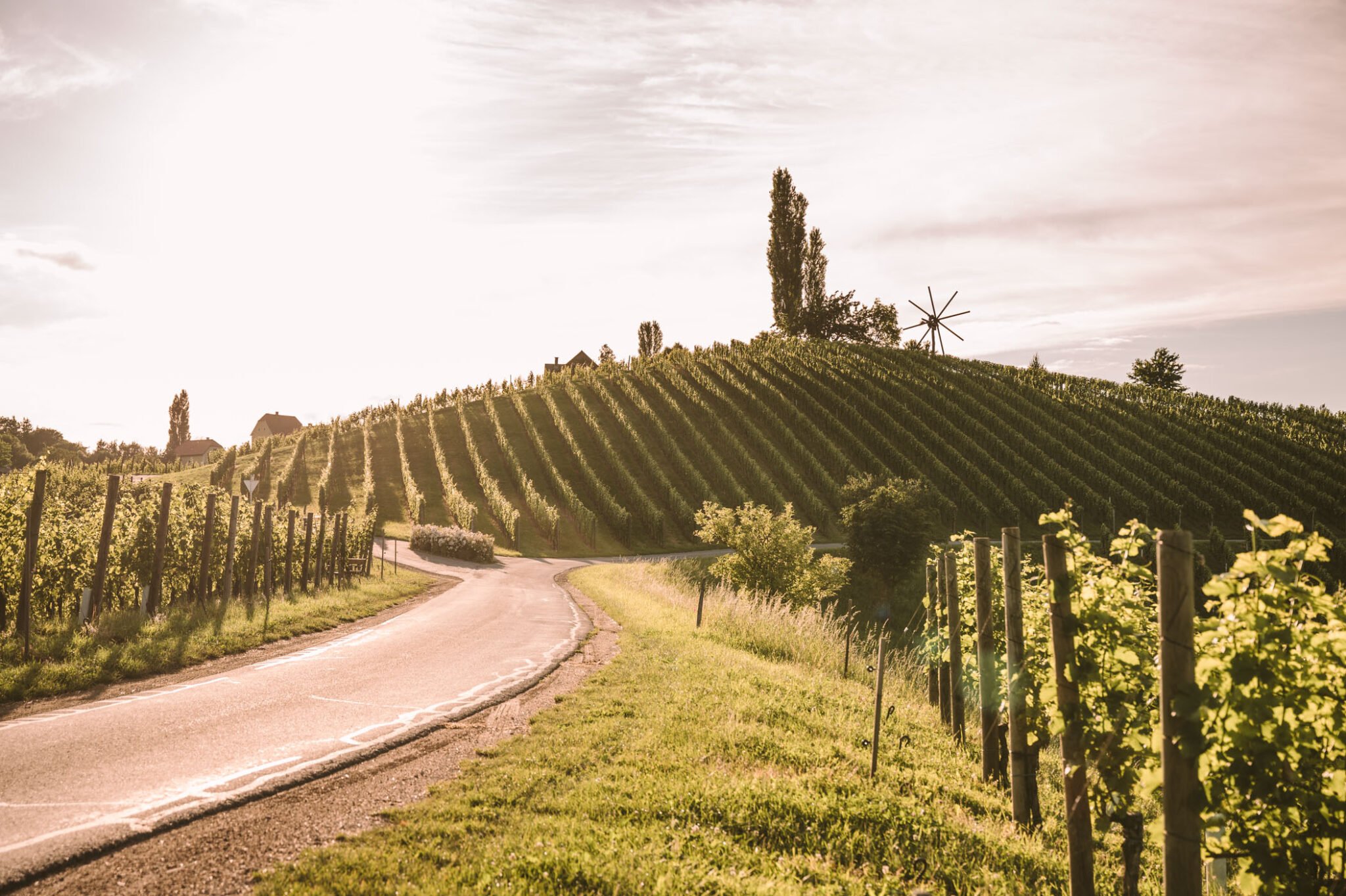 Southern Styria: From lavender festivals to hot air balloons ...