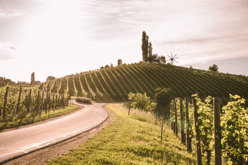 Southern Styria: From lavender festivals to hot air balloons ...