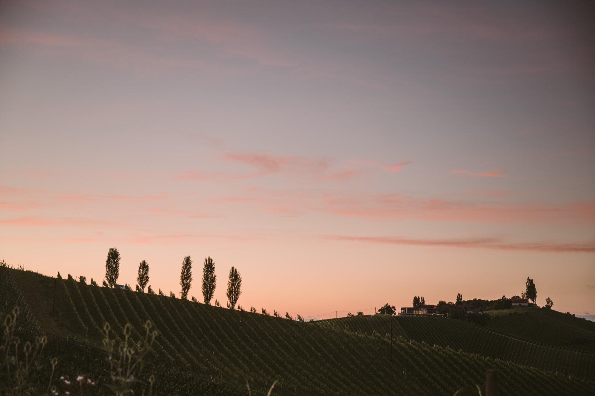 Southern Styria: From lavender festivals to hot air balloons ...