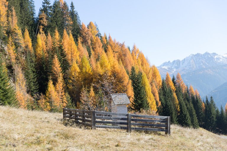 The ultimate Austria Autumn Bucket List – THETRAVELBLOG.at – Curious ...