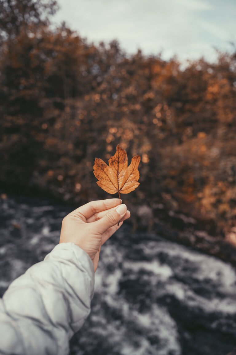 The ultimate Austria Autumn Bucket List – THETRAVELBLOG.at – Curious ...