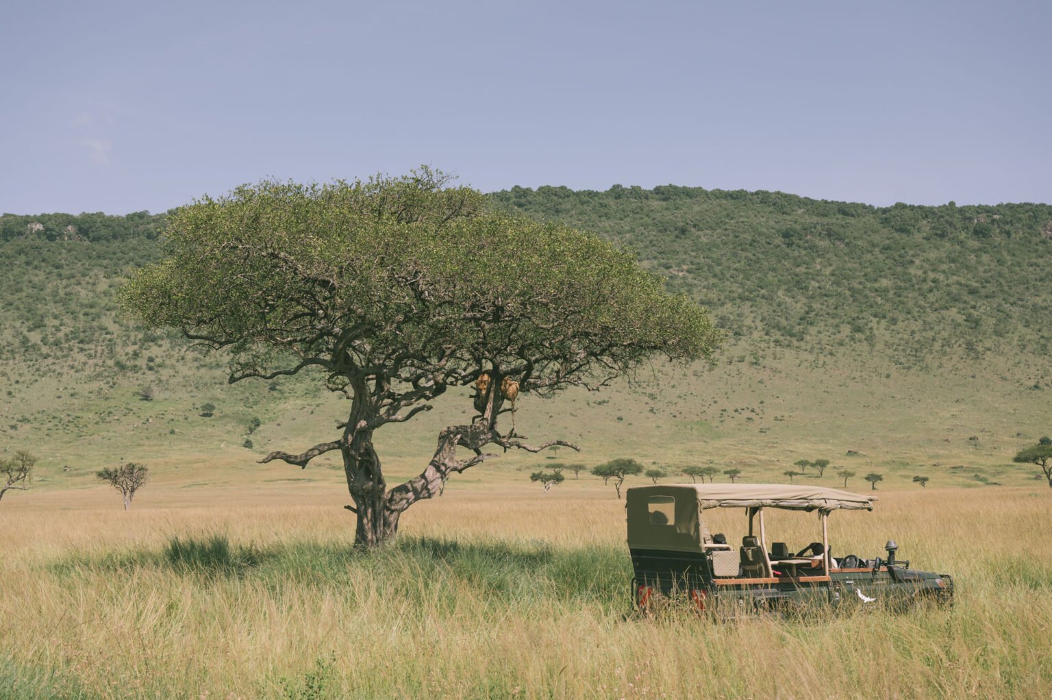 Maasai Mara: The crown jewel of Kenya’s safaris – THETRAVELBLOG.at ...